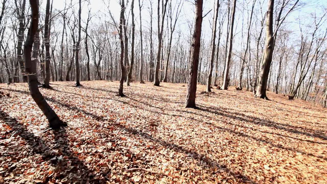 Spring bike ride - YouTube