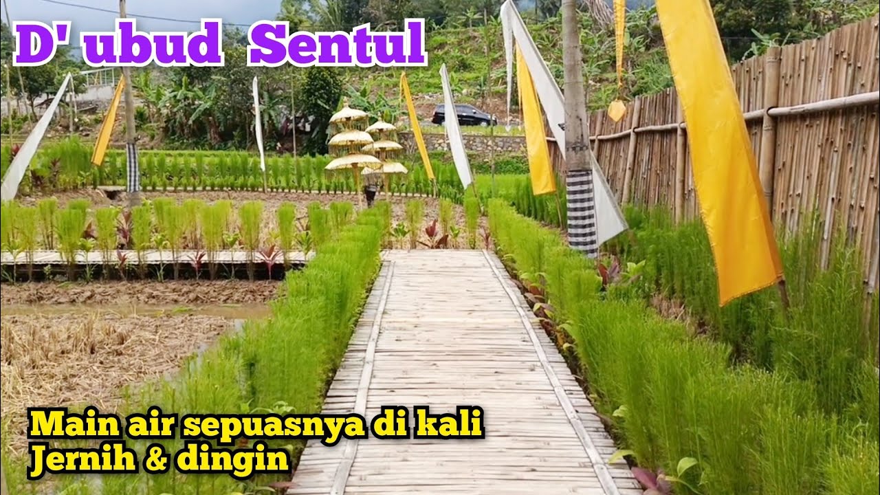 D'ubud | Cafe di sentul yang lagi Hits | berasa di BALI ‼️ - YouTube