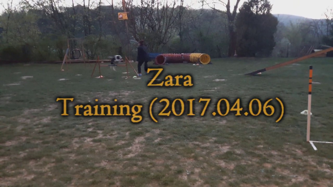 Zara training - 2017.04.06 - YouTube
