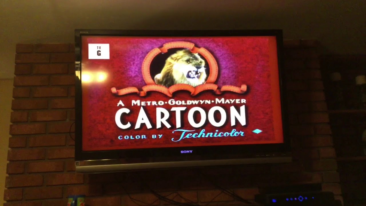 Smitten Kitten Opening On Boomerang - YouTube