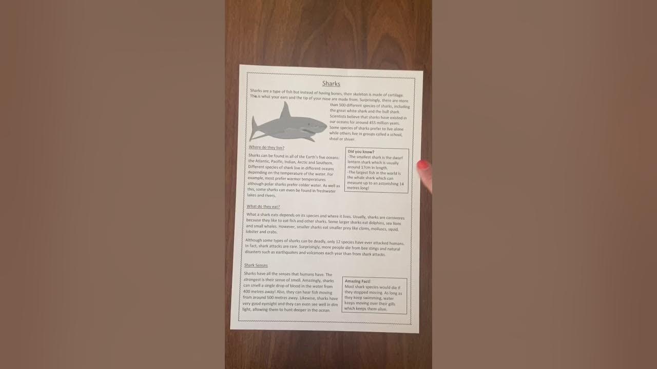 Non-Chronological Report about Sharks (features) - YouTube