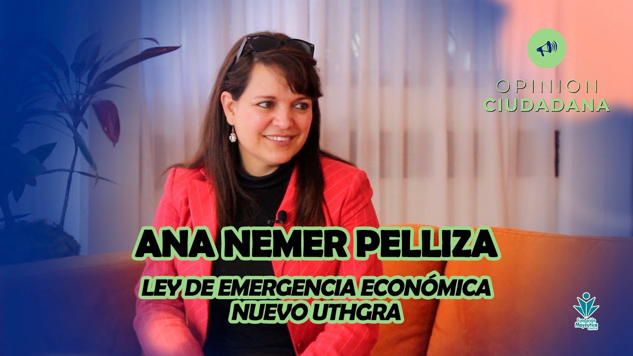Ley de Emergencia Económica - Nuevo UTHGRA - Ana Nemer Pelliza - YouTube