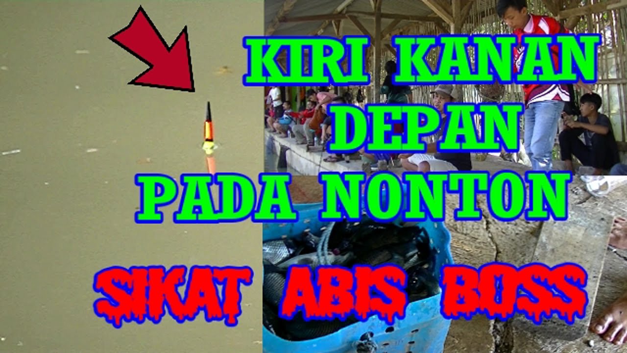LOMBA MEMANCING IKAN MAS - JUARA 1 TOTAL 92 EKOR KANAN KIRI DEPAN PADA ...