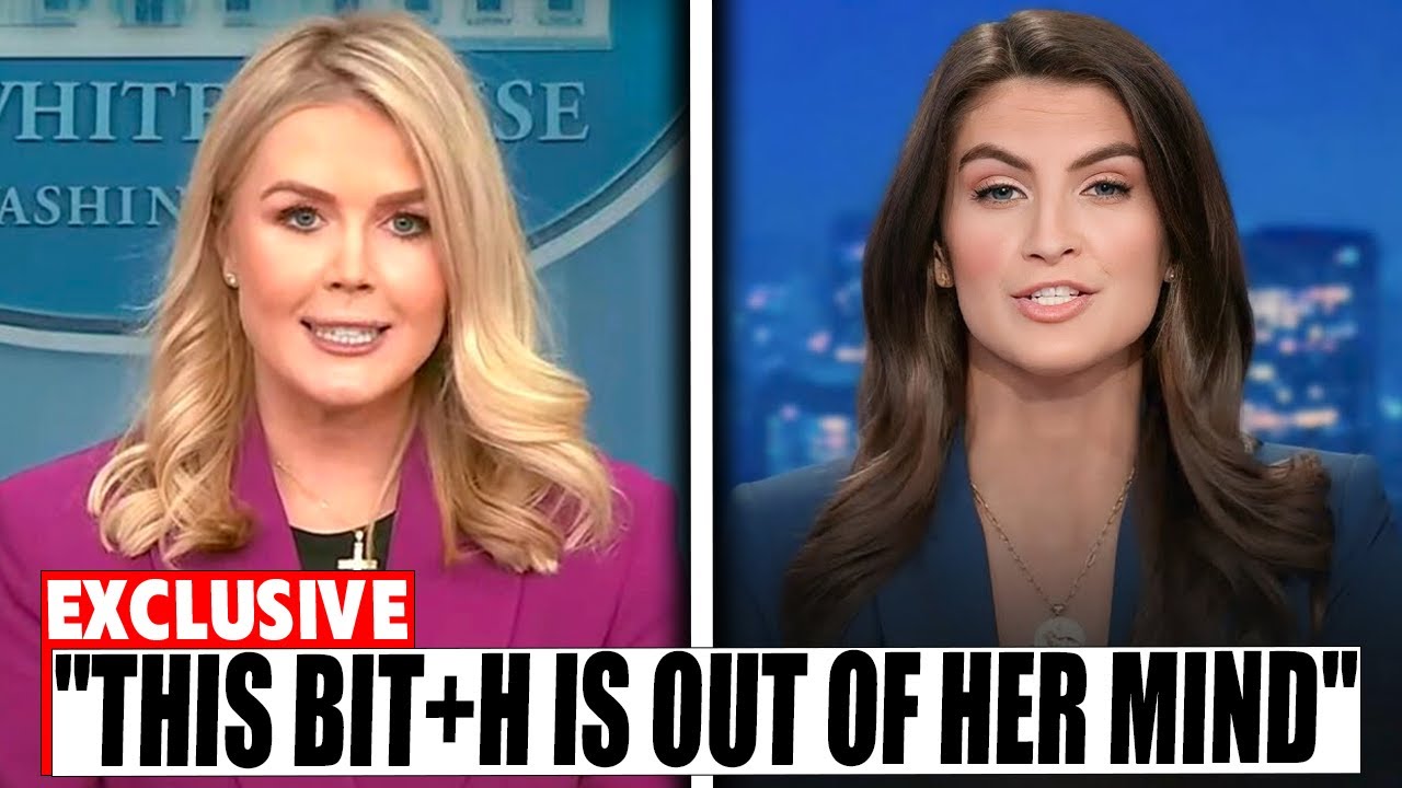 Karoline Leavitt Exposes Democratic Hypocrisy in Fiery Live TV Showdown ...