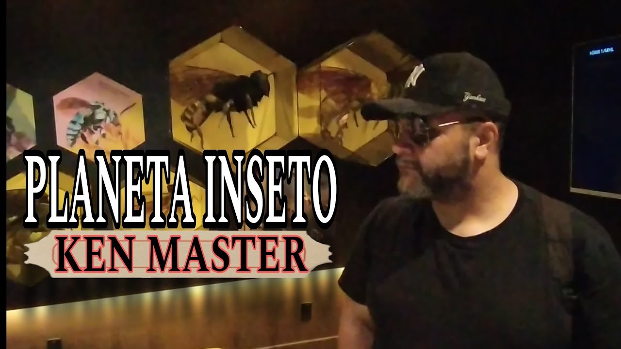 DICA DE PASSEIO GRATUITO EM SP - CONHEÇA O PLANETA INSETO - (MUSEU DO ...