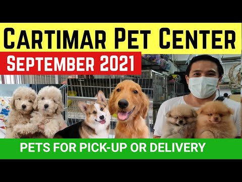 PET PRICELIST CARTIMAR DOGS AND CATS PRICE UPDATE | **Pwedeng pick-up ...