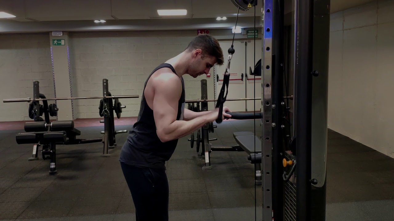 Tríceps polea alta unilateral - YouTube