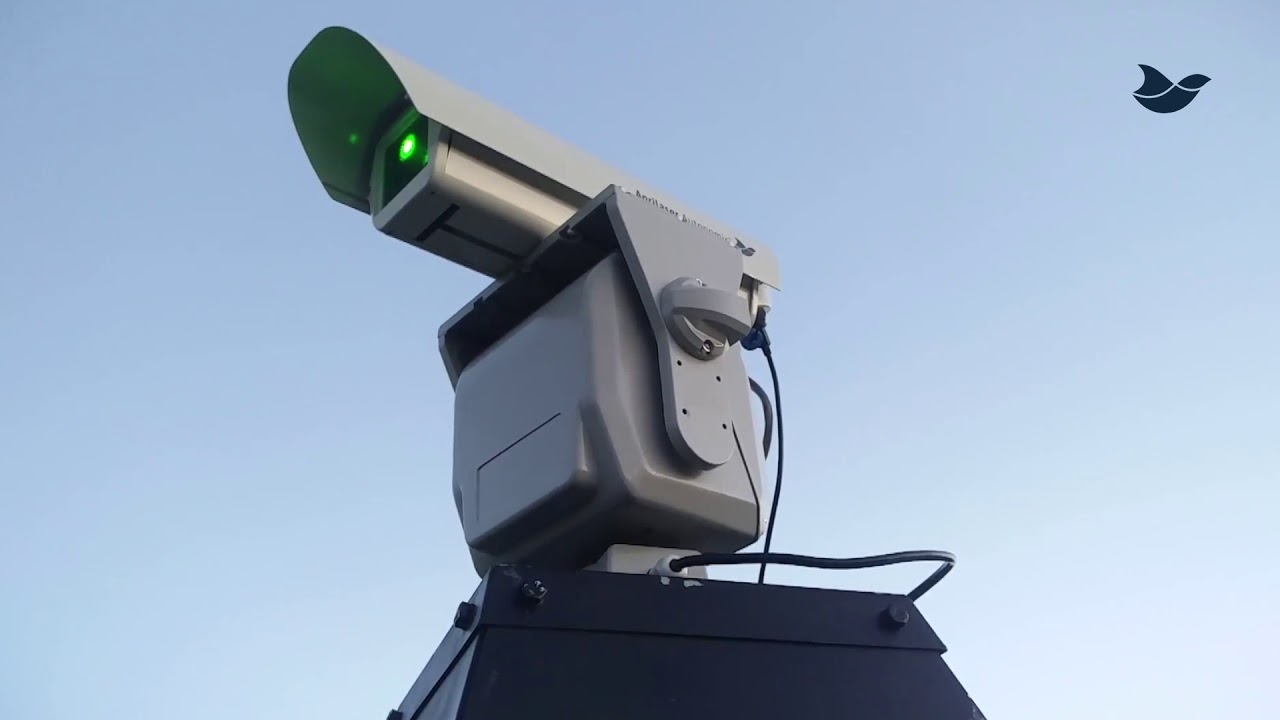 Effective and long-lasting bird control solutions - YouTube