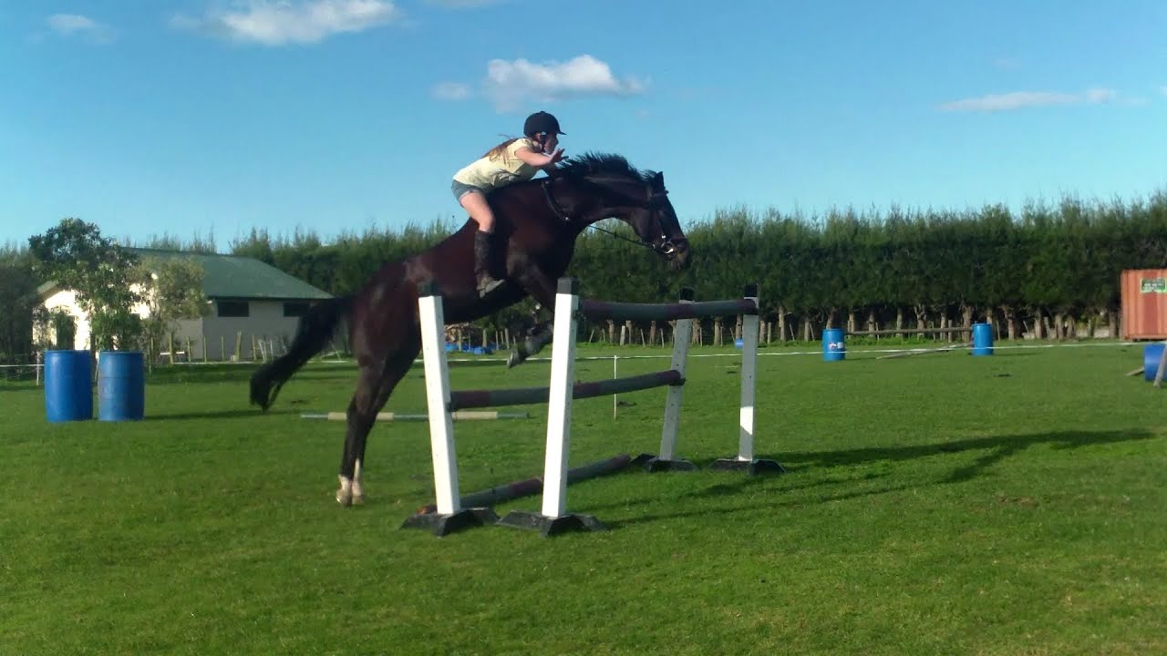 Jumping 1.30m bareback, no hands!!! Raw #2 - YouTube