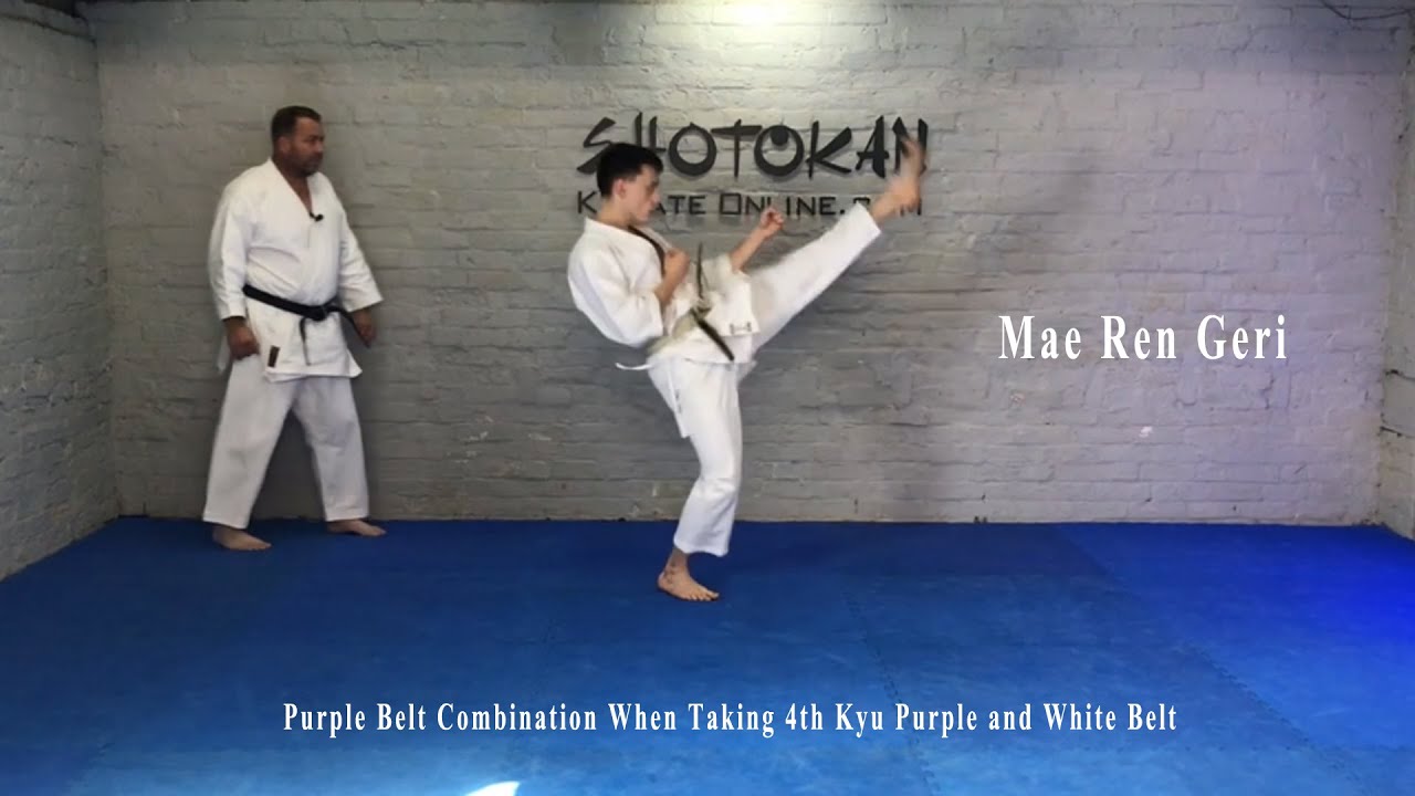 Mae Ren Geri double front kick youtube - YouTube