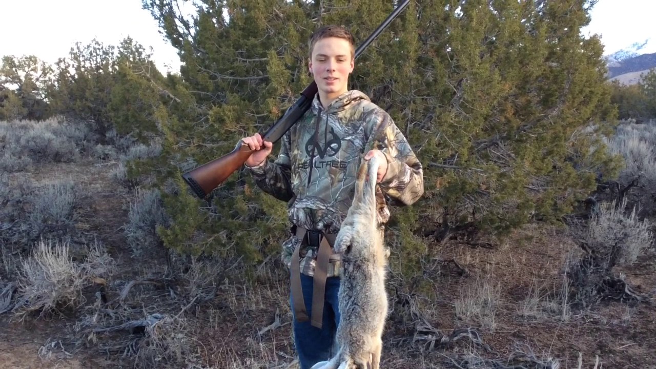 Jack Rabbit Hunting on Presidents Day! - YouTube