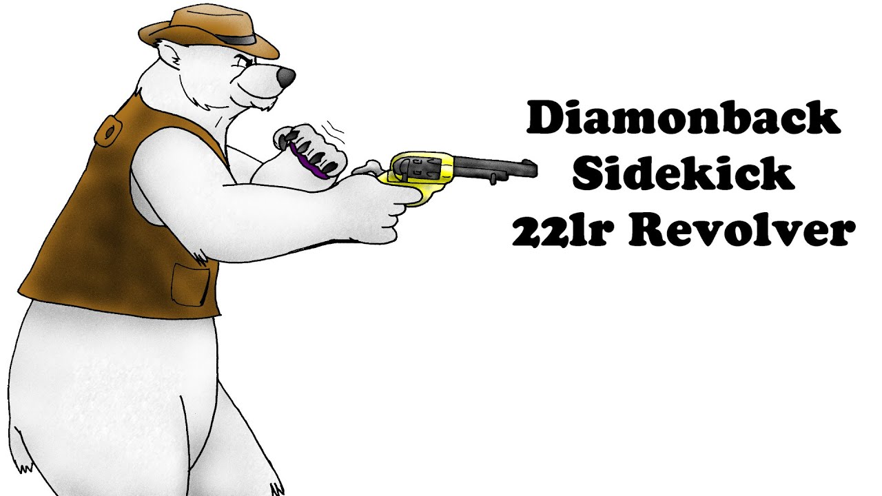 Diamondback Sidekick 22lr - YouTube