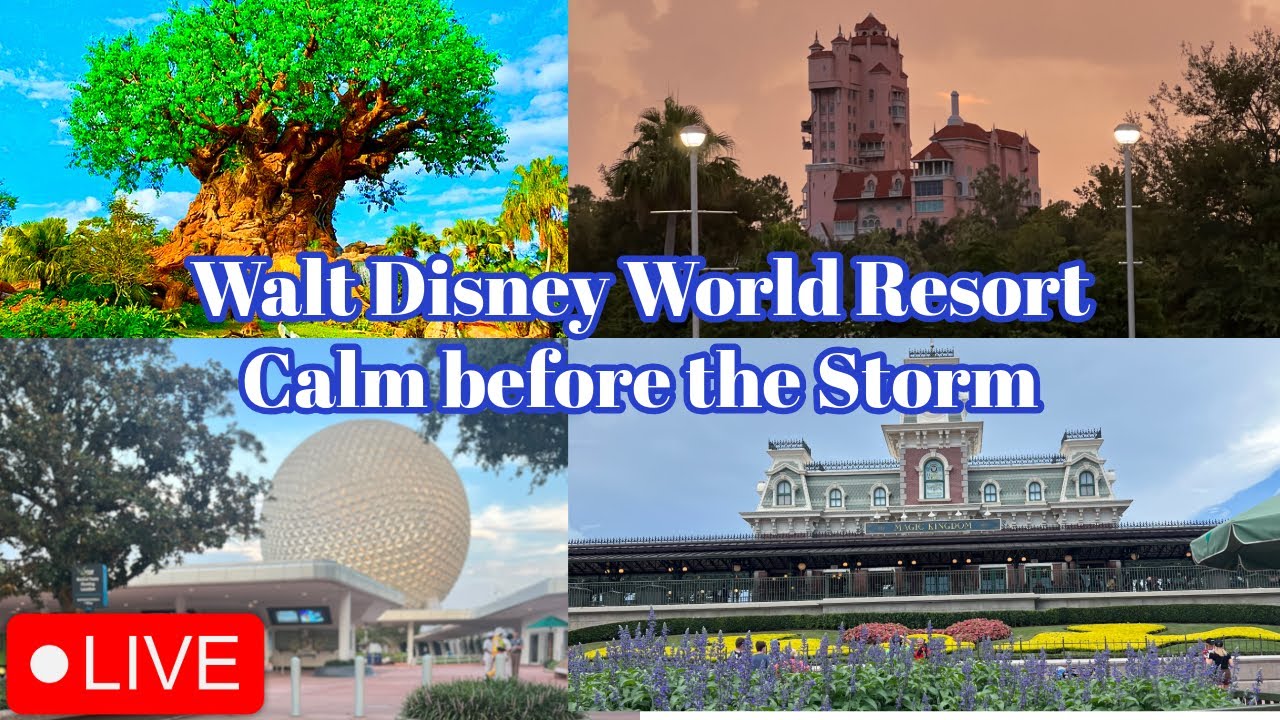 🔴LIVE: Walt Disney World Resort| Hurricane Milton | The calm before the storm 10/8/24 - YouTube