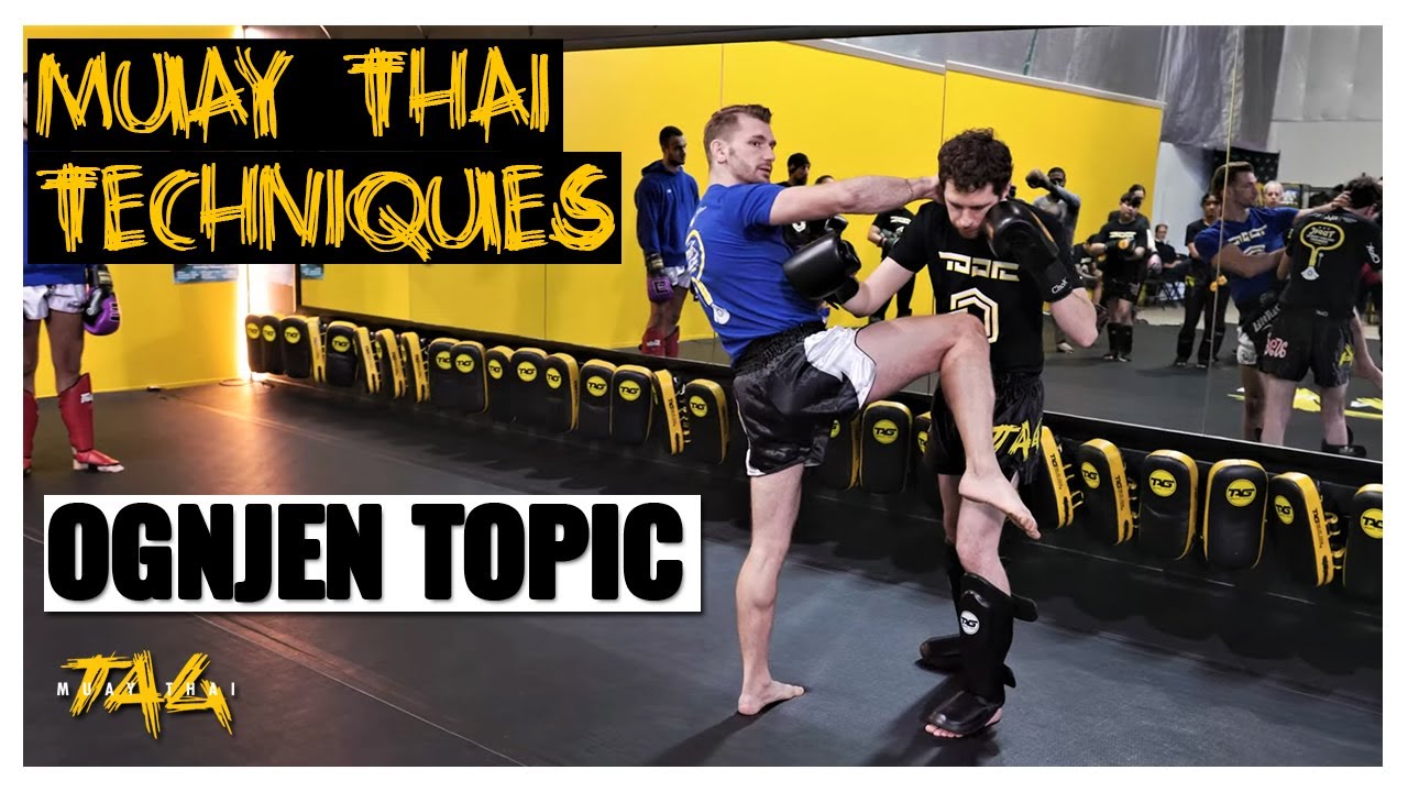 Muay Thai Techniques (Teep - Fake Teep - Parry - Knee v2) - Ognjen ...
