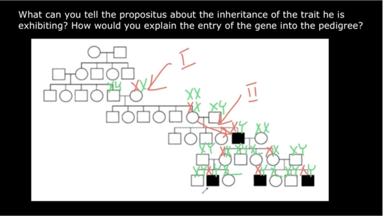 How to analyze Pedigree (for medical students) - YouTube