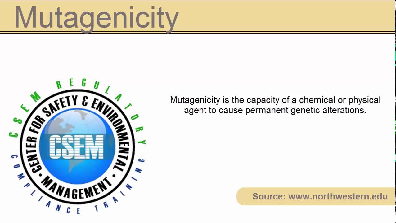 definition - mutagenicity - YouTube