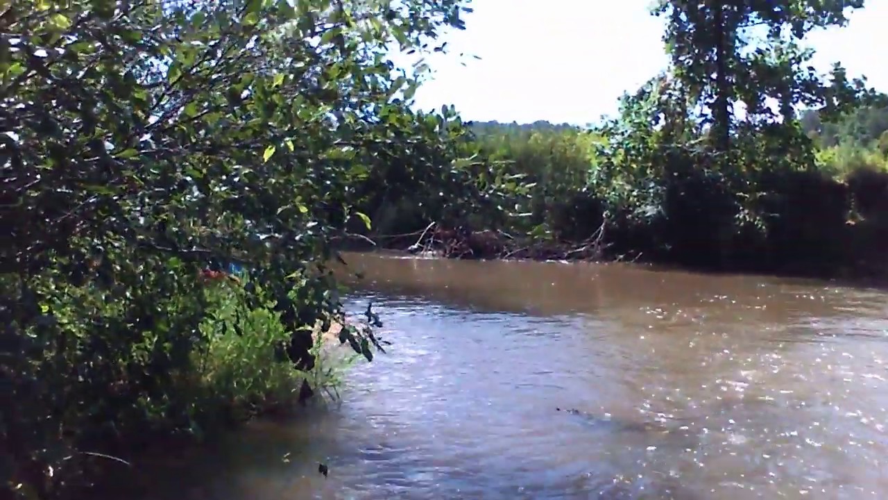 Snapping Turtle sunning on log! - YouTube