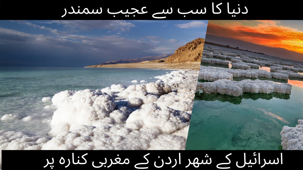 Dead Sea Israel (Duniya Ka Sab Sa Ajeeb Samundar) - YouTube