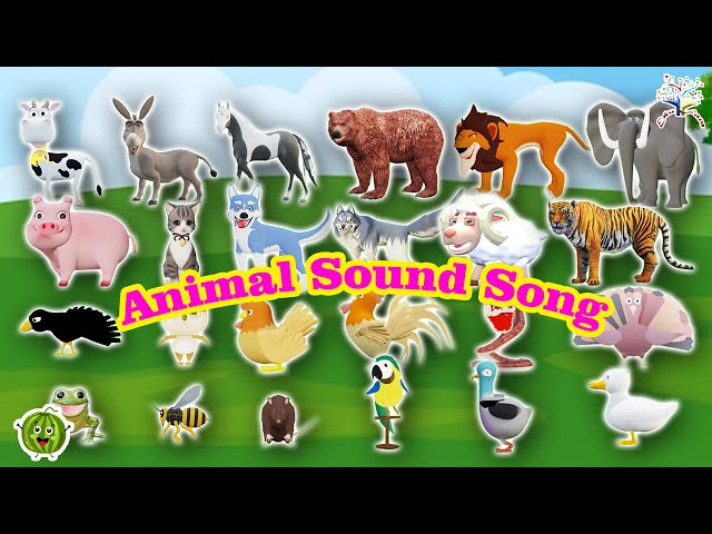 Animal Sounds
