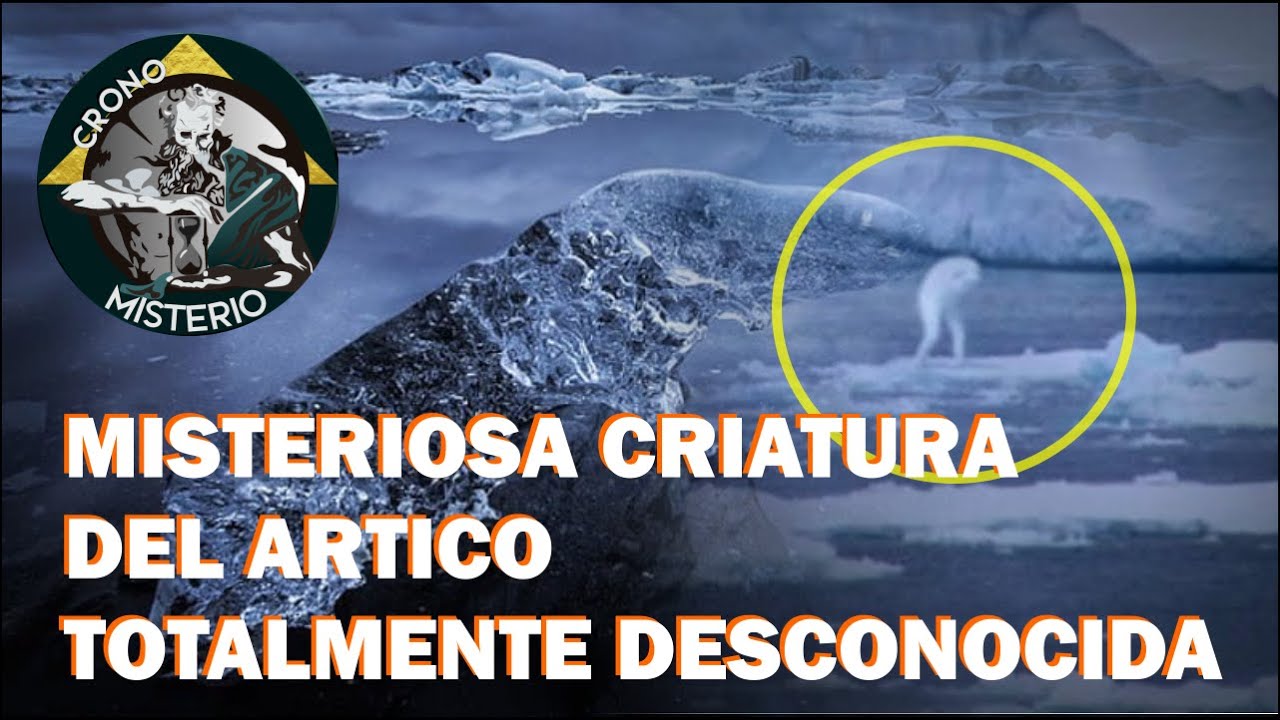 ⚠️ ️ Misteriosa criatura en el artico totalmente desconocida! El Ningen ...