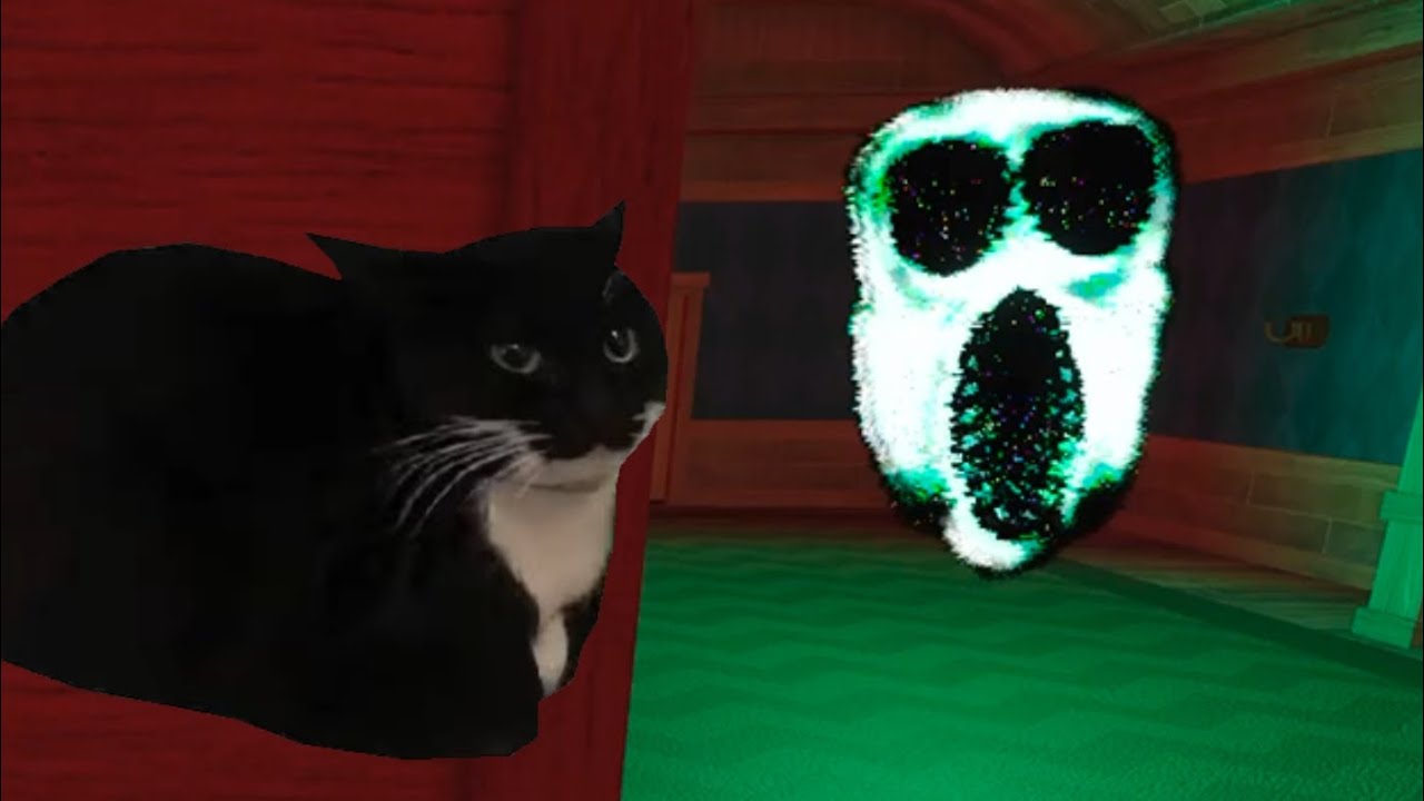 Maxwell The Cat In Roblox #5 - YouTube