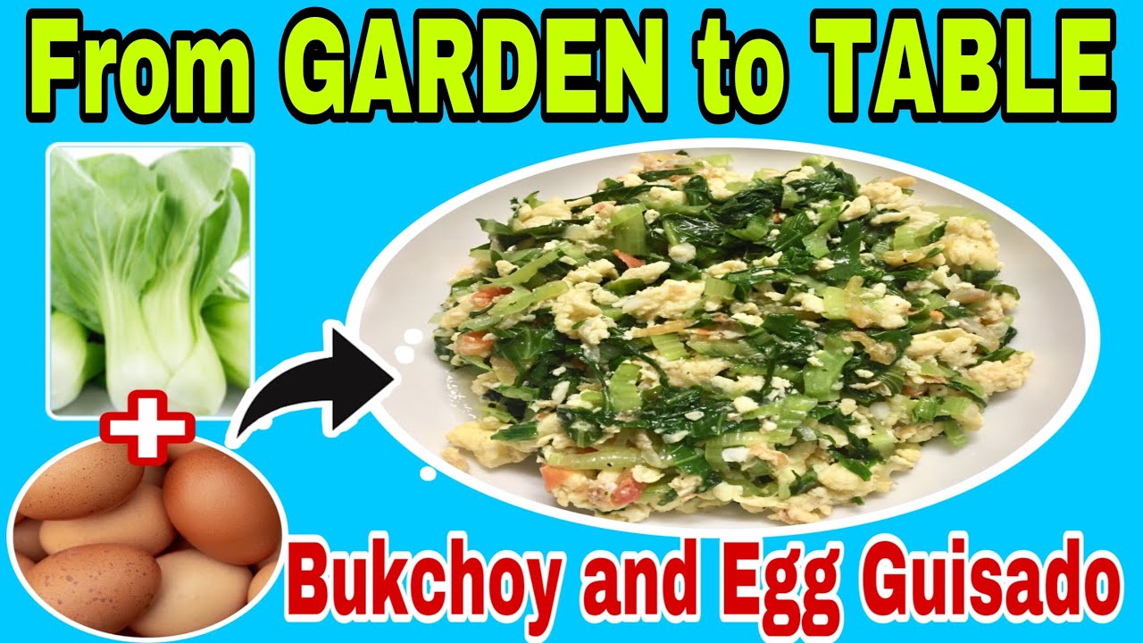 Container Gardening||Bukchoy and Egg Guisado||From Garden to Table ...