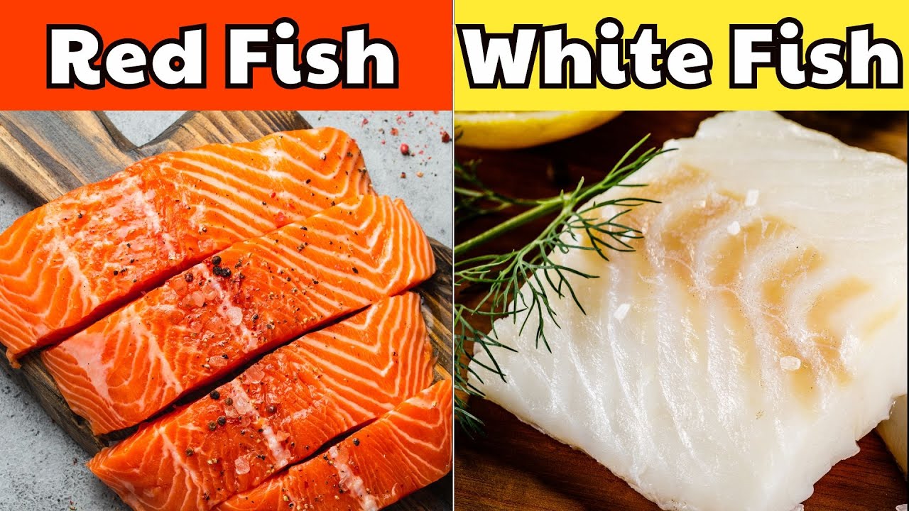White Fish vs Red Fish: Which One Should You Eat? - YouTube