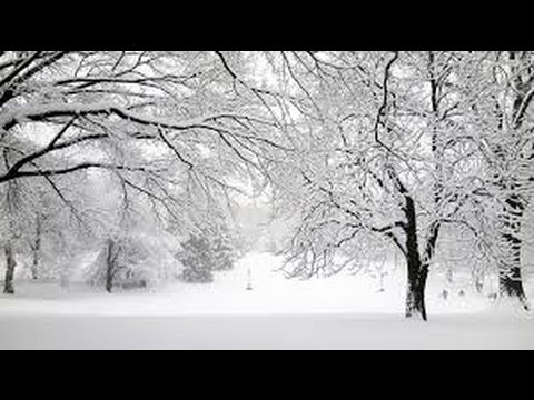 Snow Storm Update part 3. Snow is coming down. NY - YouTube