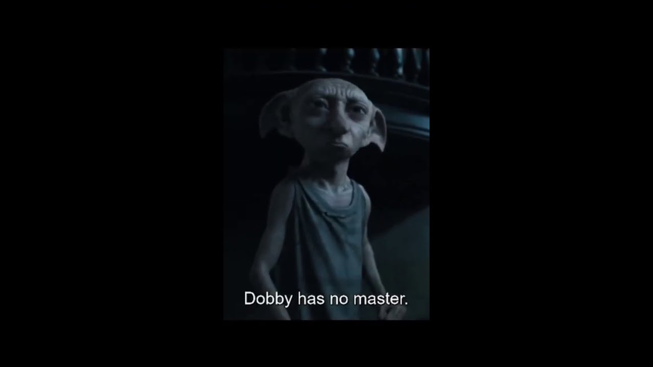 YES, DOBBY STAND UP FOR YOURSELF!!! Harry Potter and the Deathly ...