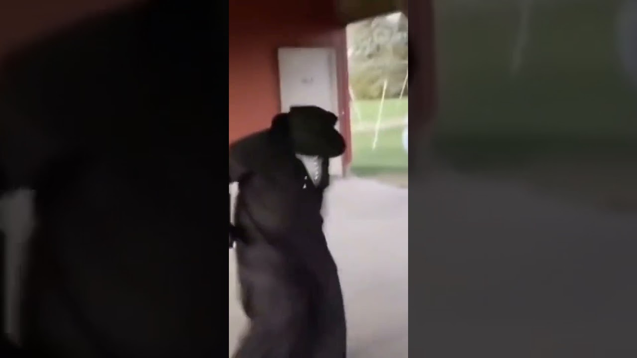 miniloona train - YouTube