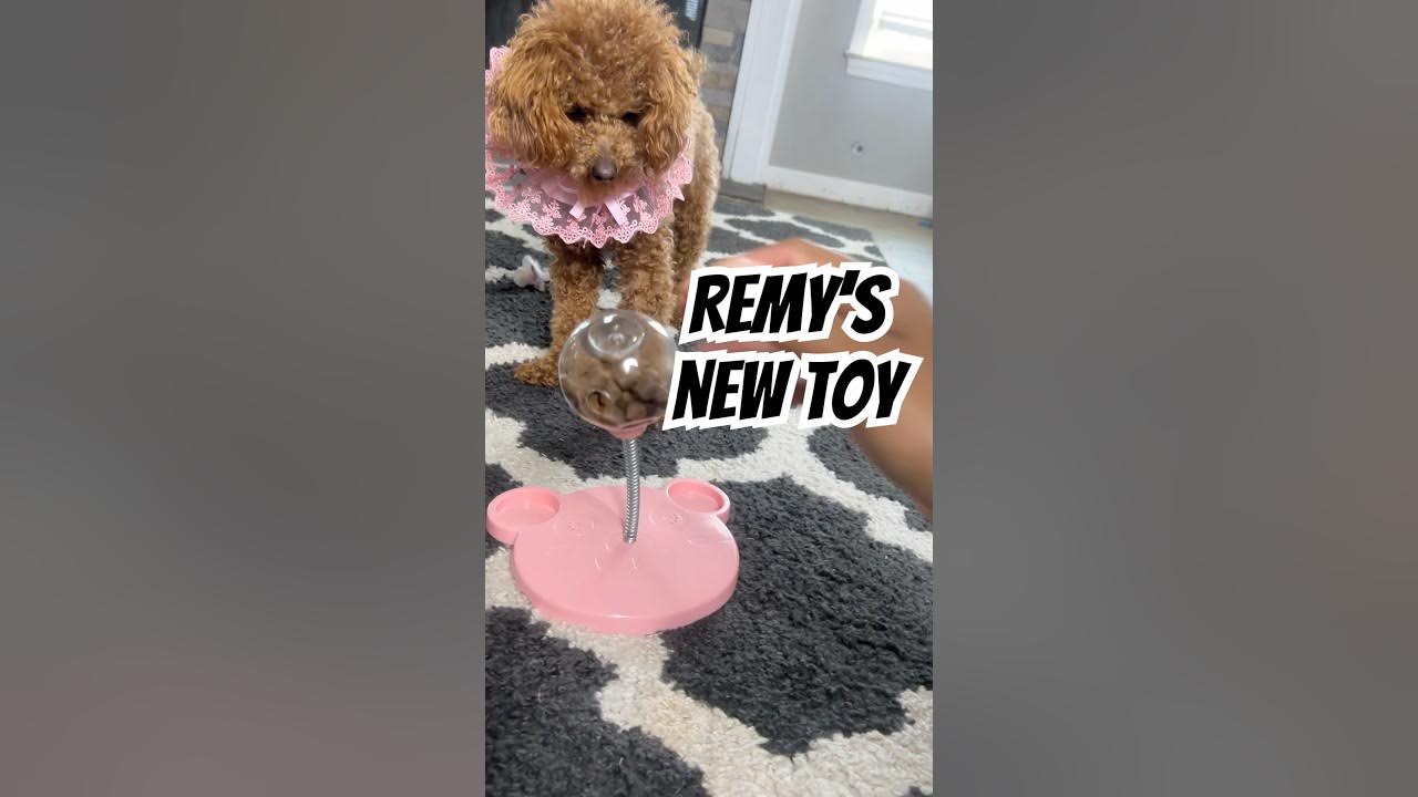 Remy’s New Toy - YouTube