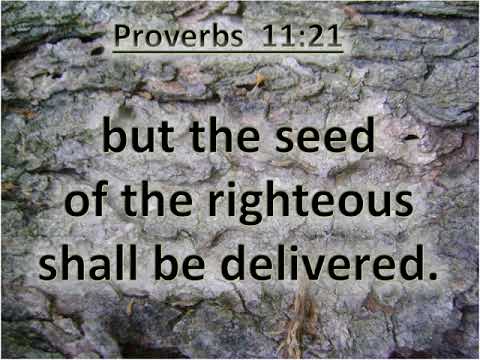 Proverbs 11:21, Though hand join in hand,KJV,singalong w lyrics,Dm ...