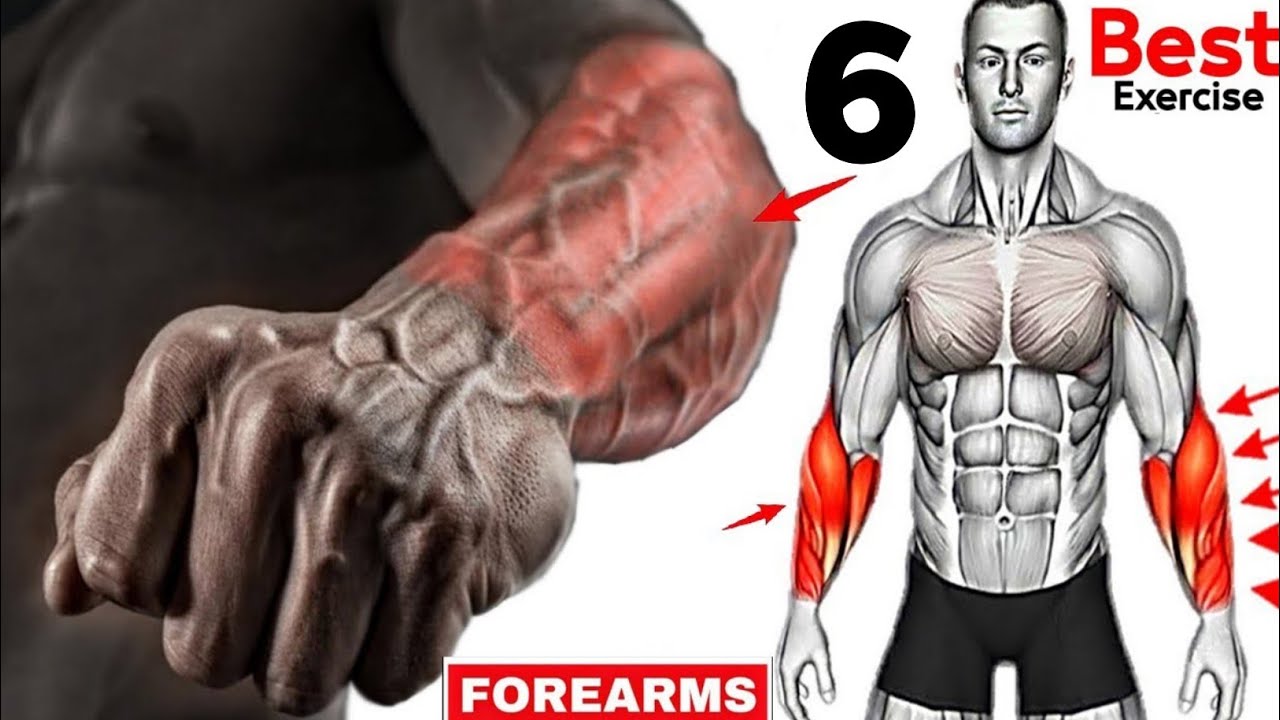 How To Build Huge Forearms (6 Effective Exercises) - YouTube