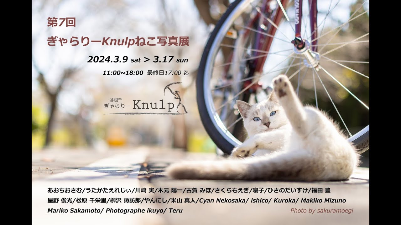 第7回ぎゃらりーKnulpねこ写真展 - YouTube