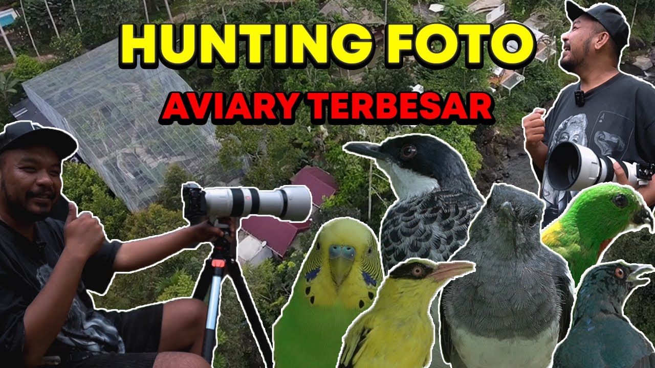 #EPS 07 | HUNTING FOTO AVIARY TERBESAR DI SUMATERA BARAT - YouTube