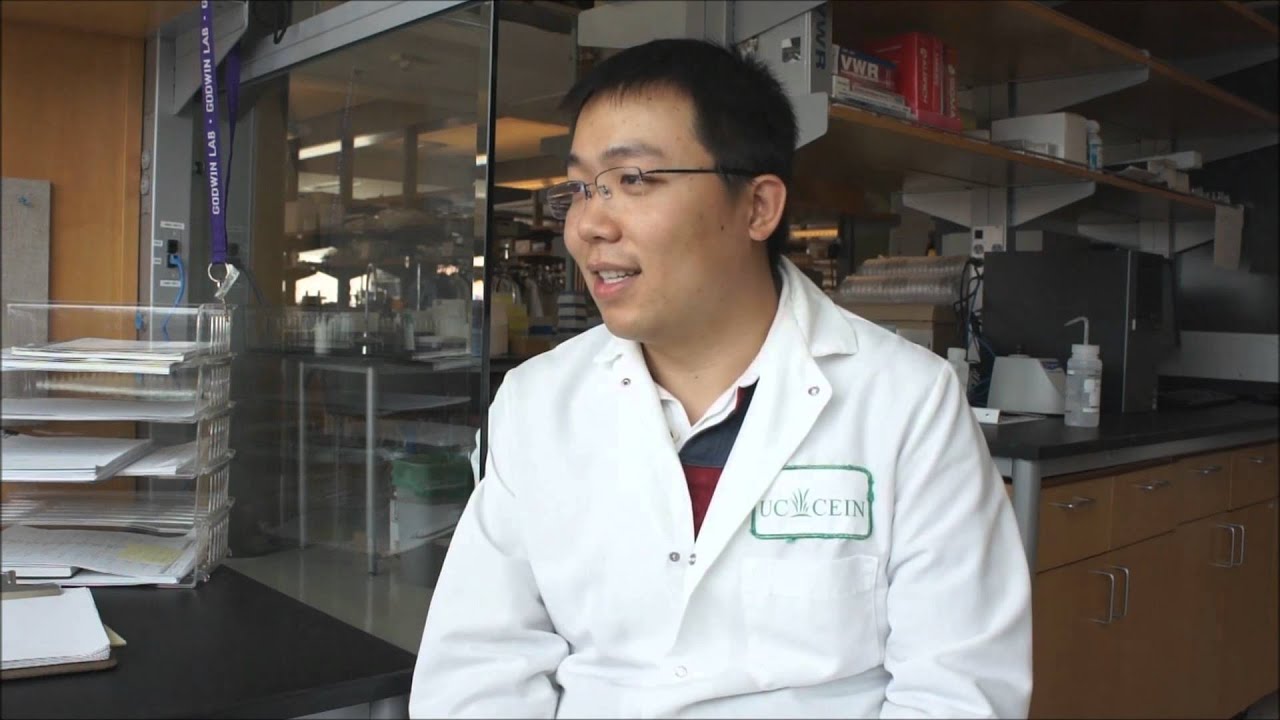 UC CEIN Researcher Profile - Huan Meng - YouTube