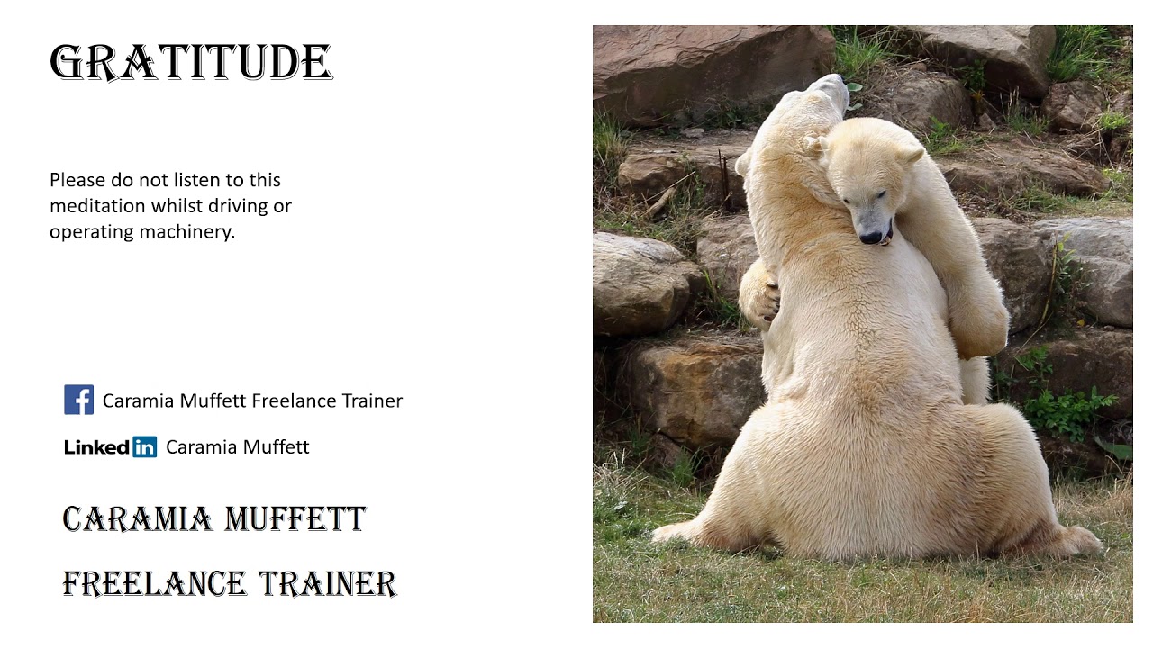 Midweek Mindful Meditation - Gratitude - YouTube