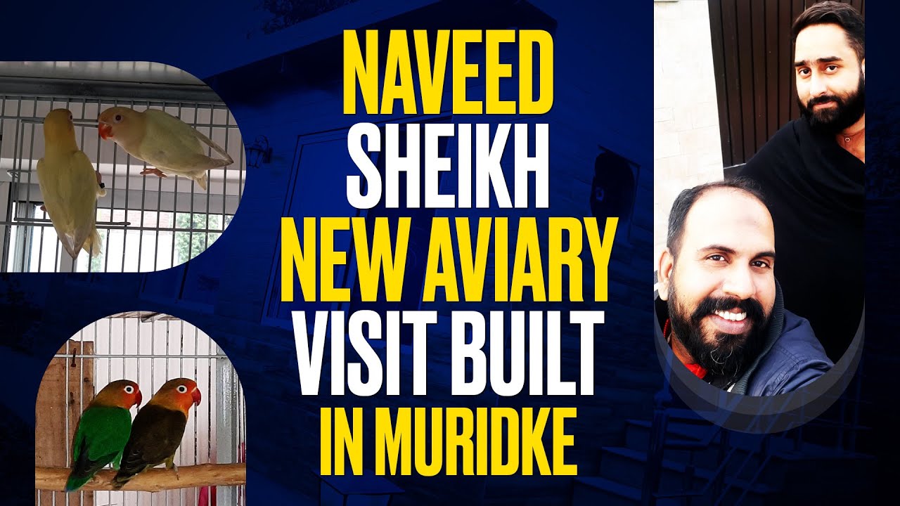 Naveed Sheikh New Aviary Visit, Built In Muridke - YouTube