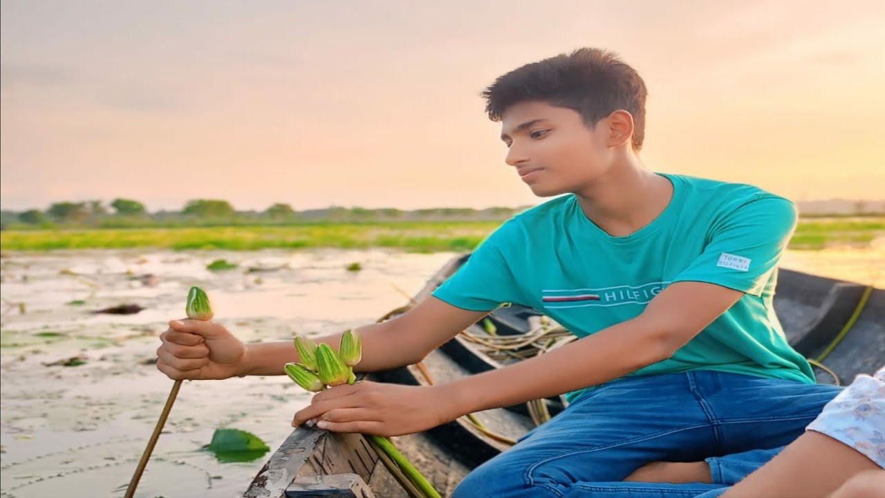 শাপলা বিল | shapla bill | যশোরে বিল | shapla ful | water lily | natural ...