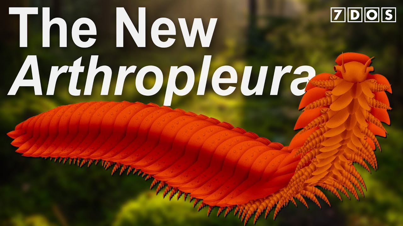 The New Look of Arthropleura - The Giant Prehistoric Millipede | 7 Days ...