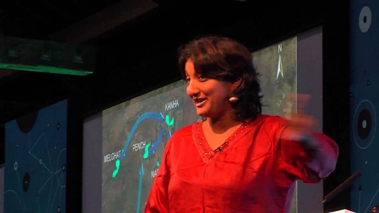 Uma Ramakrishnan: My Mission to Save India's Tigers | WIRED 2014 ...