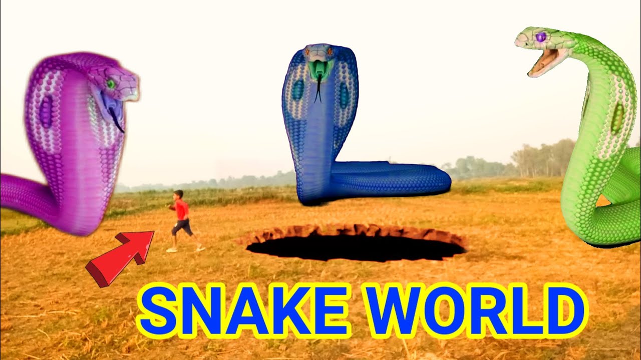 T Rex Chase Snake | Big Anaconda Snake Chase In Real Life #anaconda # ...