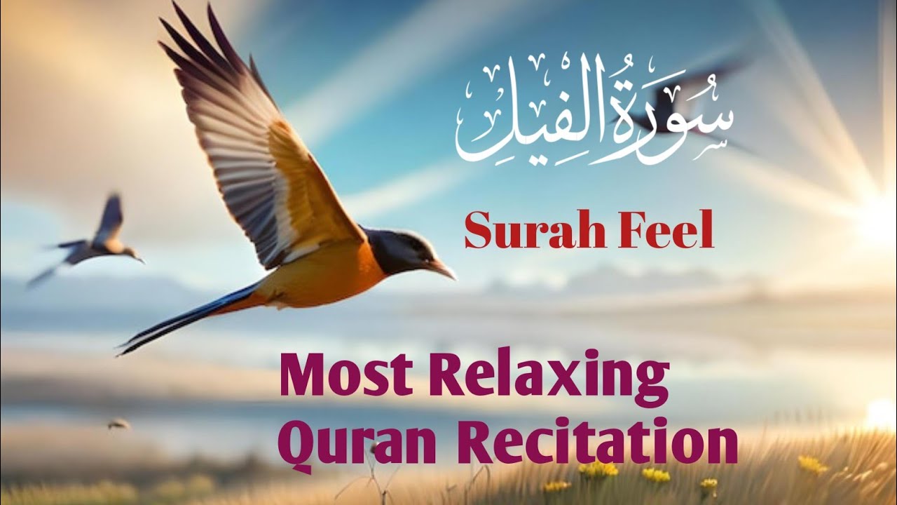Surah Feel , Most Relaxing Quran Recitation - YouTube