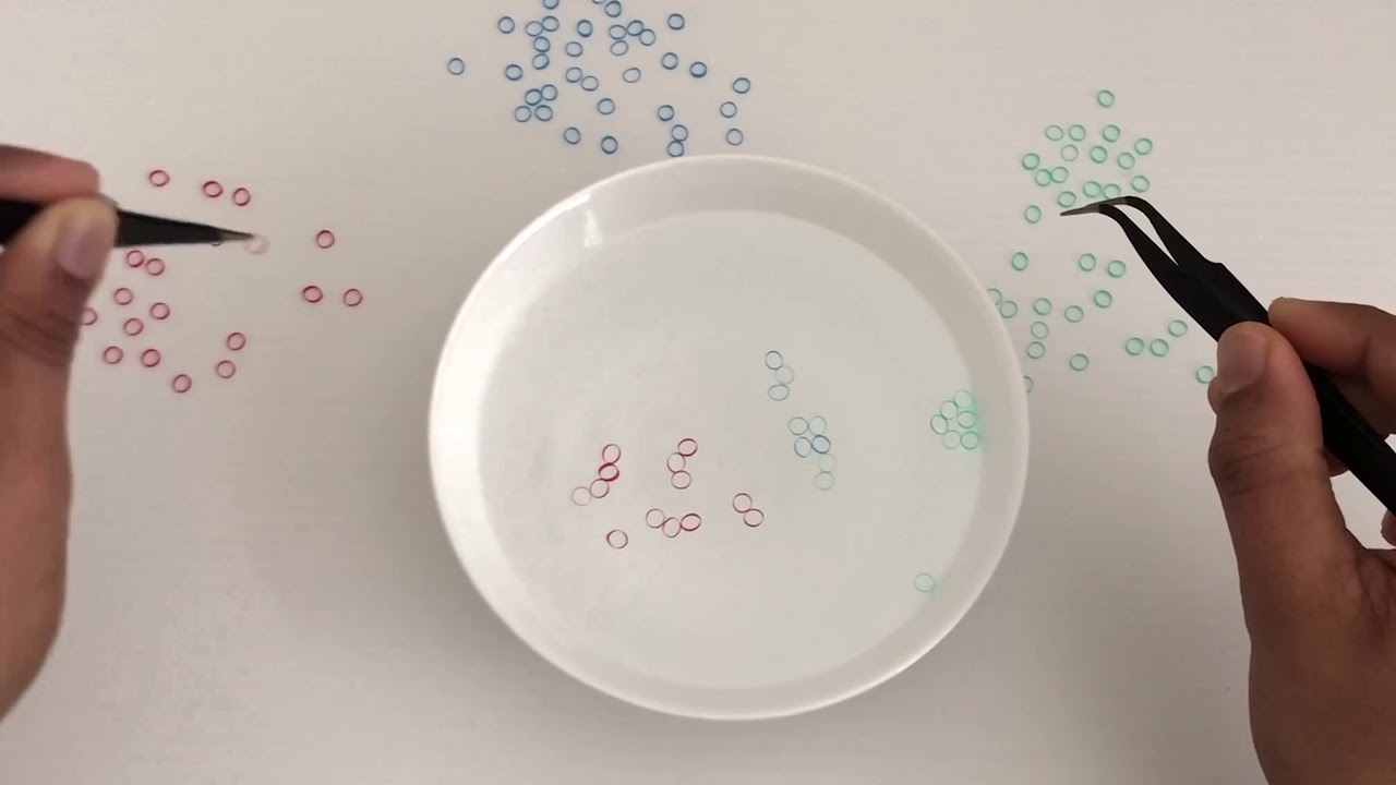 Self assembly The concept and Explanation Group 3 - YouTube