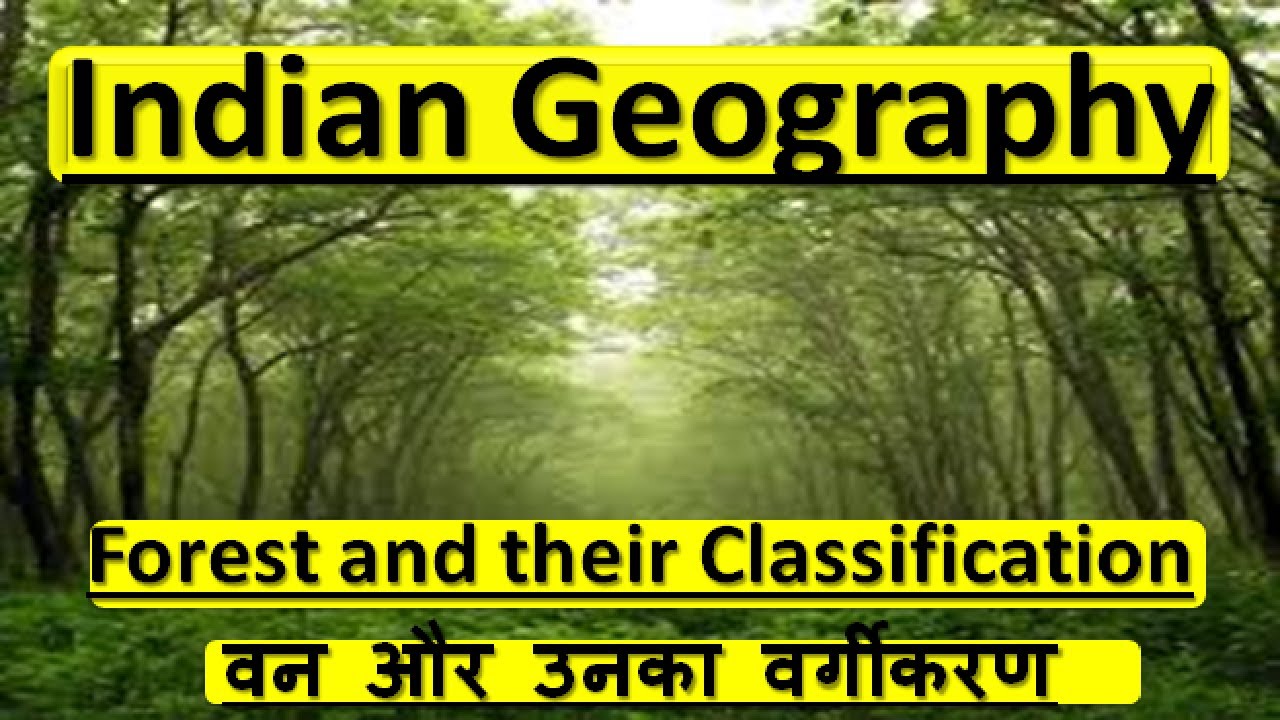 Types of Forests in India(With Map) - Evergreen, Deciduous, Thorny ...