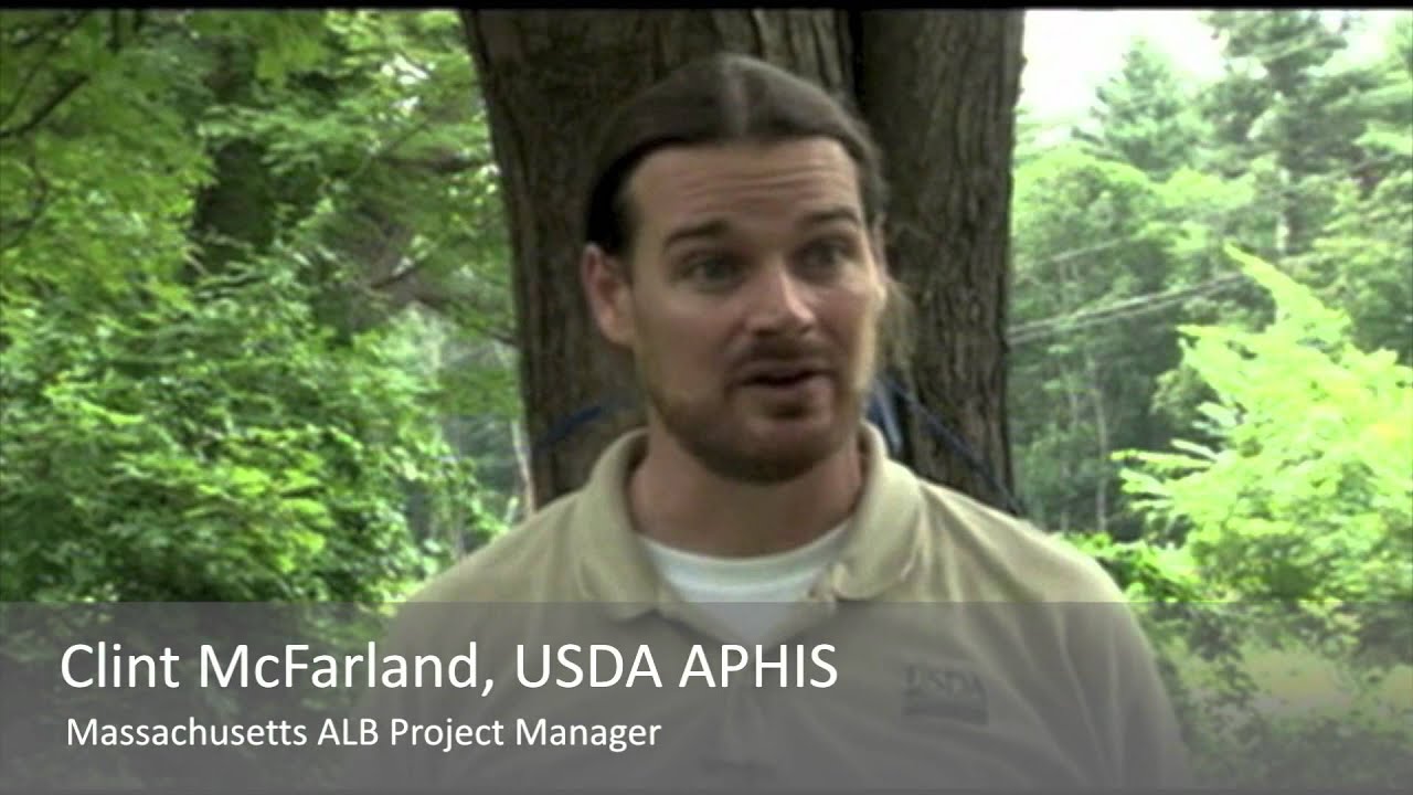 What is at stake with the ALB being found in MA? - YouTube