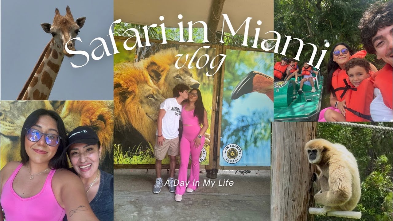 We Went on a Safari in MIAMI?! 😱 - YouTube