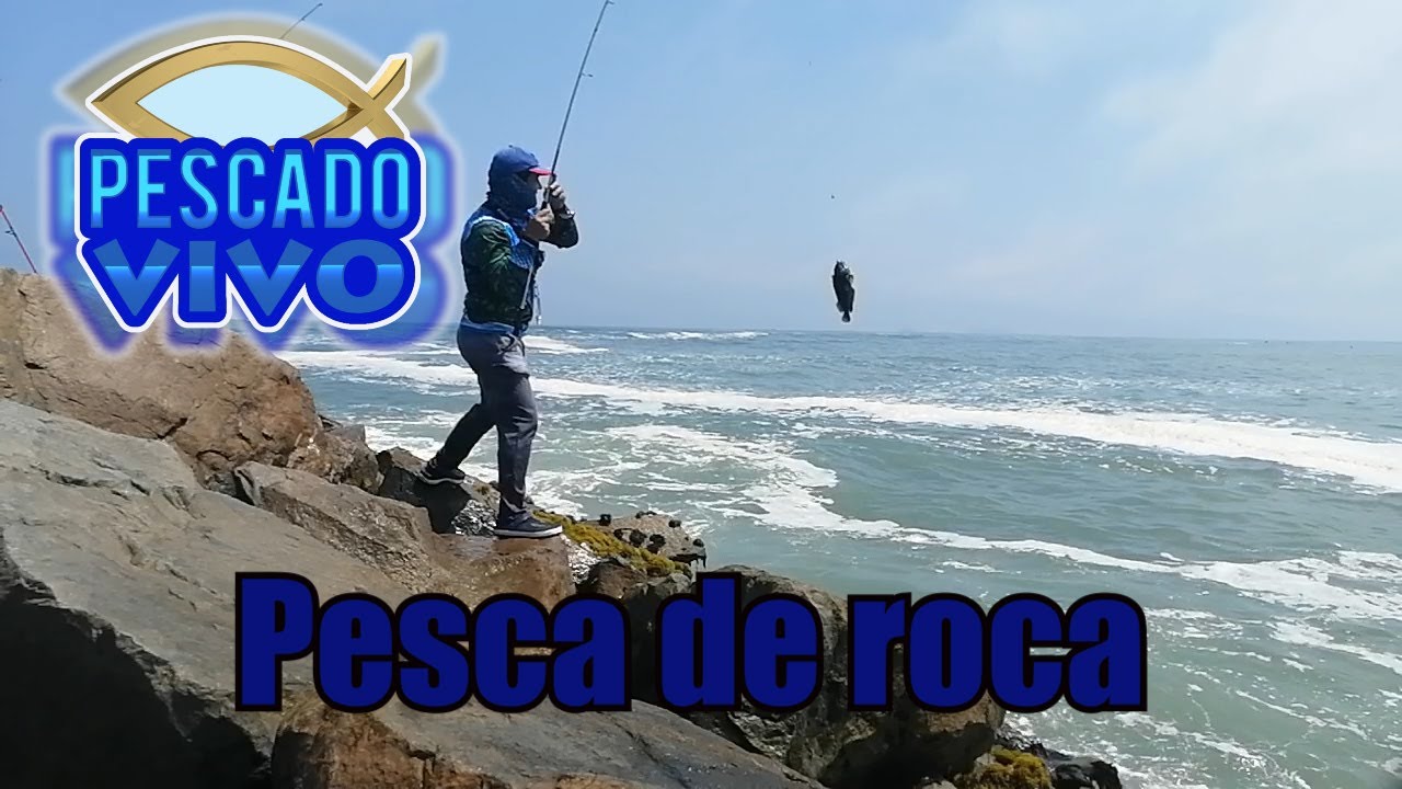 #pesca sobre LAS ROCAS - YouTube