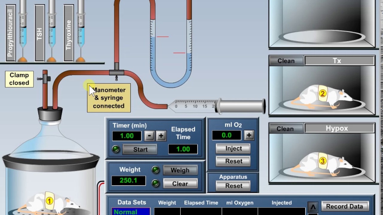 20 NORMAL Baseline - YouTube