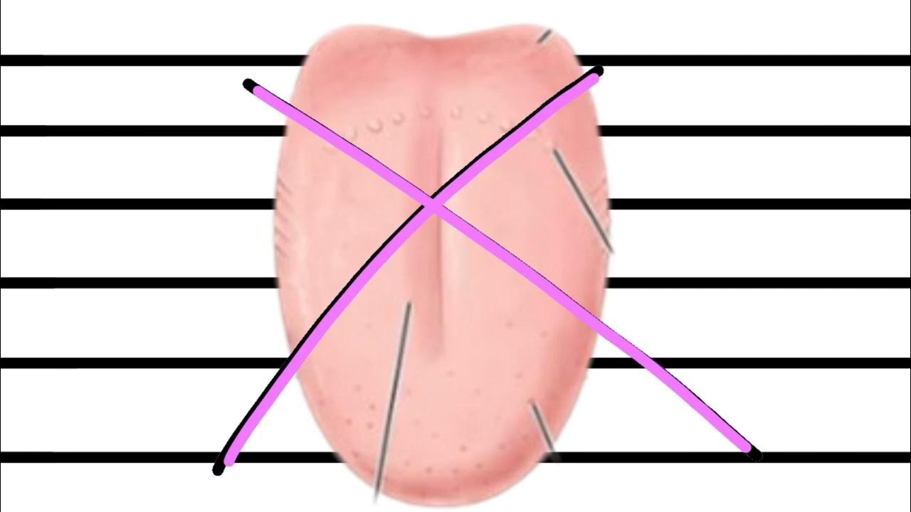 What s The Strongest Muscle In The Body YouTube what-s-the-strongest-muscle-in-the-body-youtube